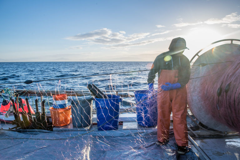 Chef Jason McLeod’s Commitment to San Diego Seafood - Life & Thyme