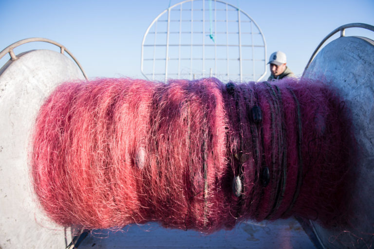 Chef Jason McLeod’s Commitment to San Diego Seafood - Life & Thyme