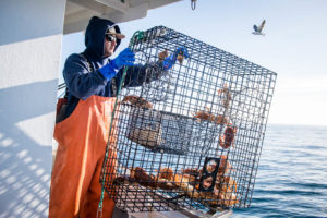 Chef Jason McLeod’s Commitment to San Diego Seafood - Life & Thyme