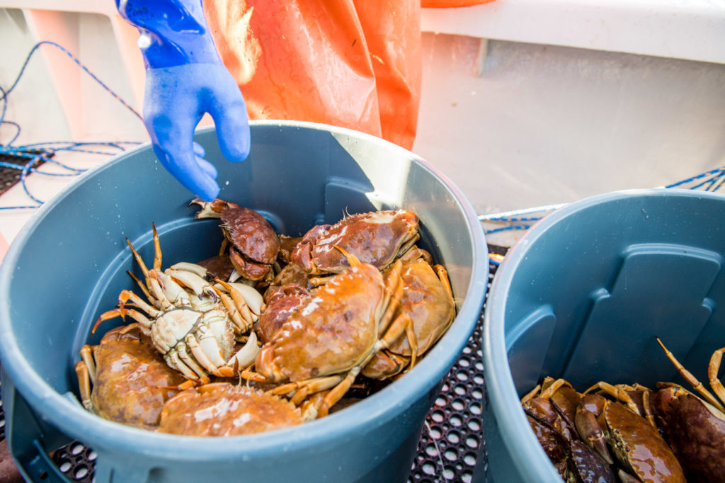 Chef Jason McLeod’s Commitment to San Diego Seafood - Life & Thyme