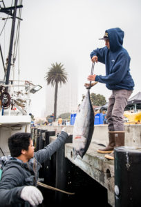 Chef Jason McLeod’s Commitment to San Diego Seafood - Life & Thyme