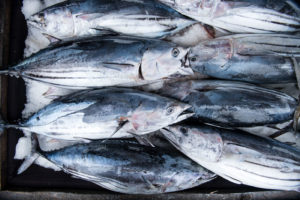 Chef Jason McLeod’s Commitment to San Diego Seafood - Life & Thyme