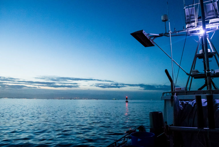 Chef Jason McLeod’s Commitment to San Diego Seafood - Life & Thyme