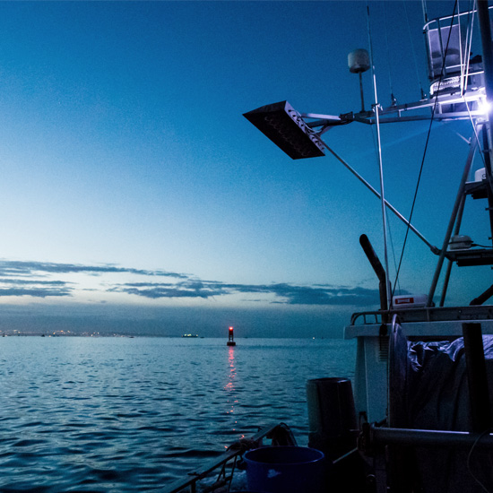 Chef Jason McLeod’s Commitment to San Diego Seafood - Life & Thyme