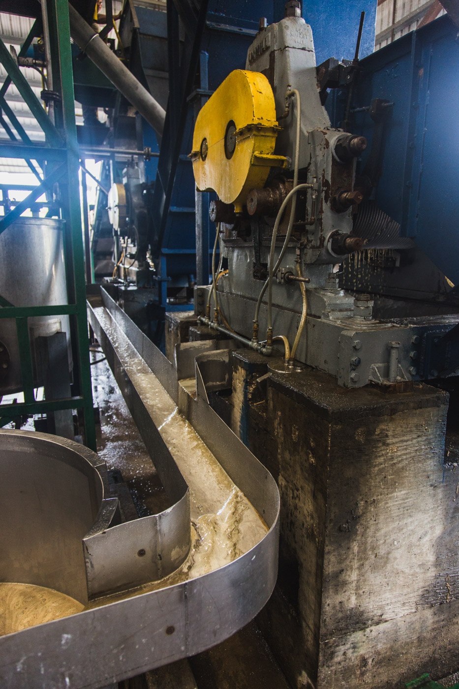 Belize’s Copal Tree Distillery Puts Soul into Spirits - Life & Thyme