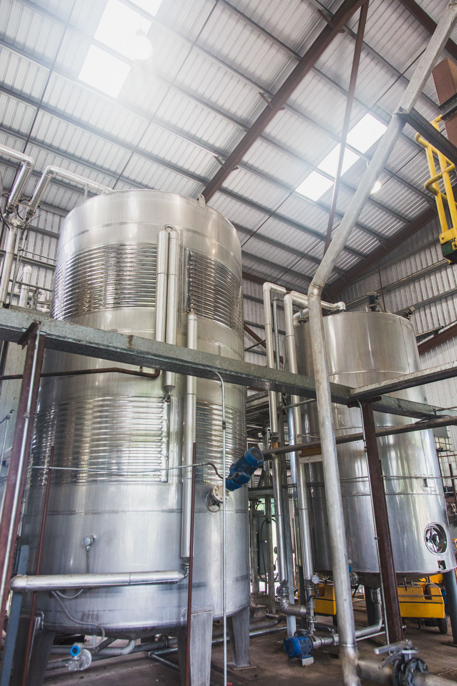 Belize’s Copal Tree Distillery Puts Soul into Spirits - Life & Thyme