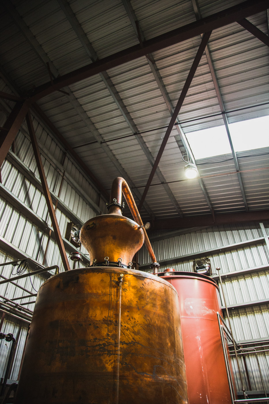 Belize’s Copal Tree Distillery Puts Soul into Spirits - Life & Thyme