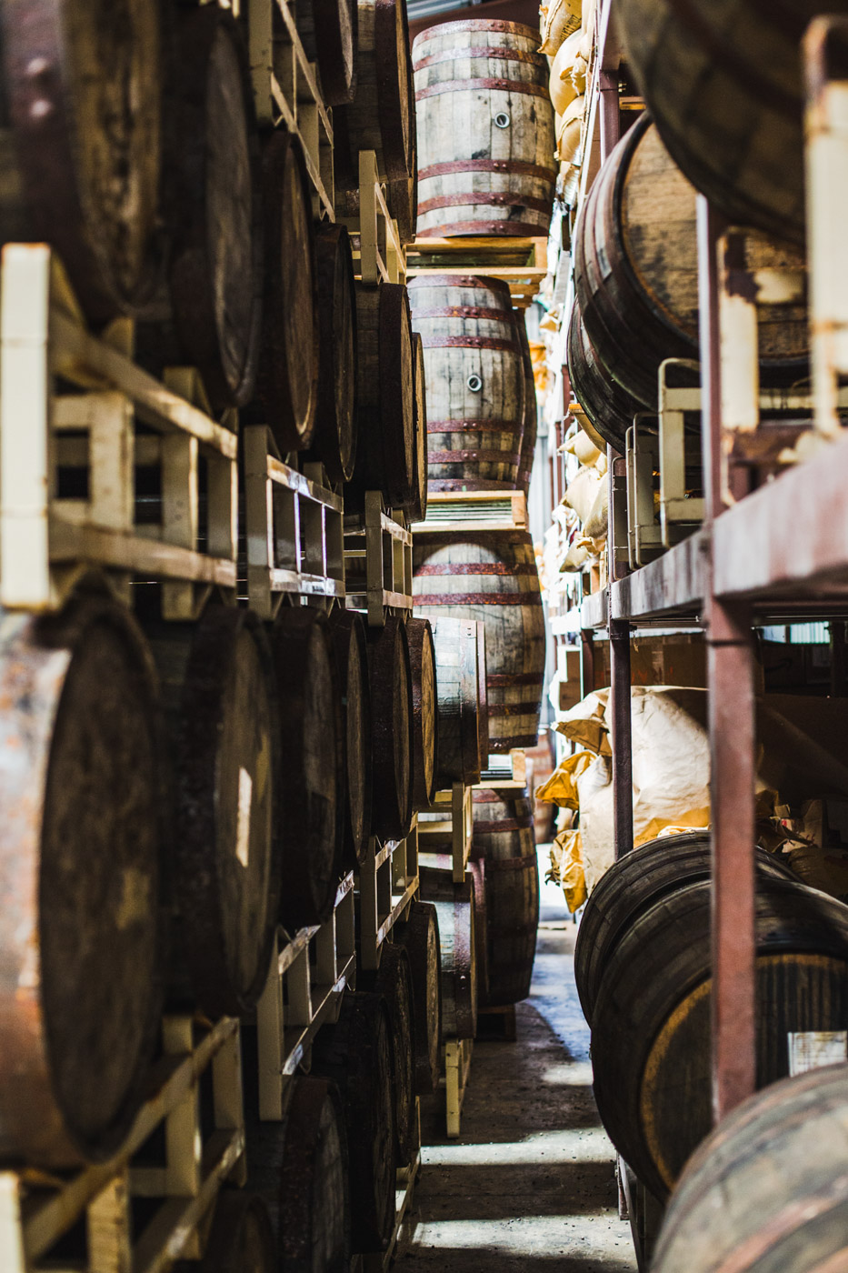 Belize’s Copal Tree Distillery Puts Soul into Spirits - Life & Thyme