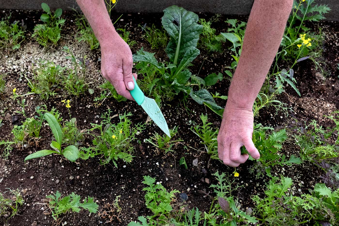 The Evolving Colorado Cuisine of Alex Seidel - Life & Thyme