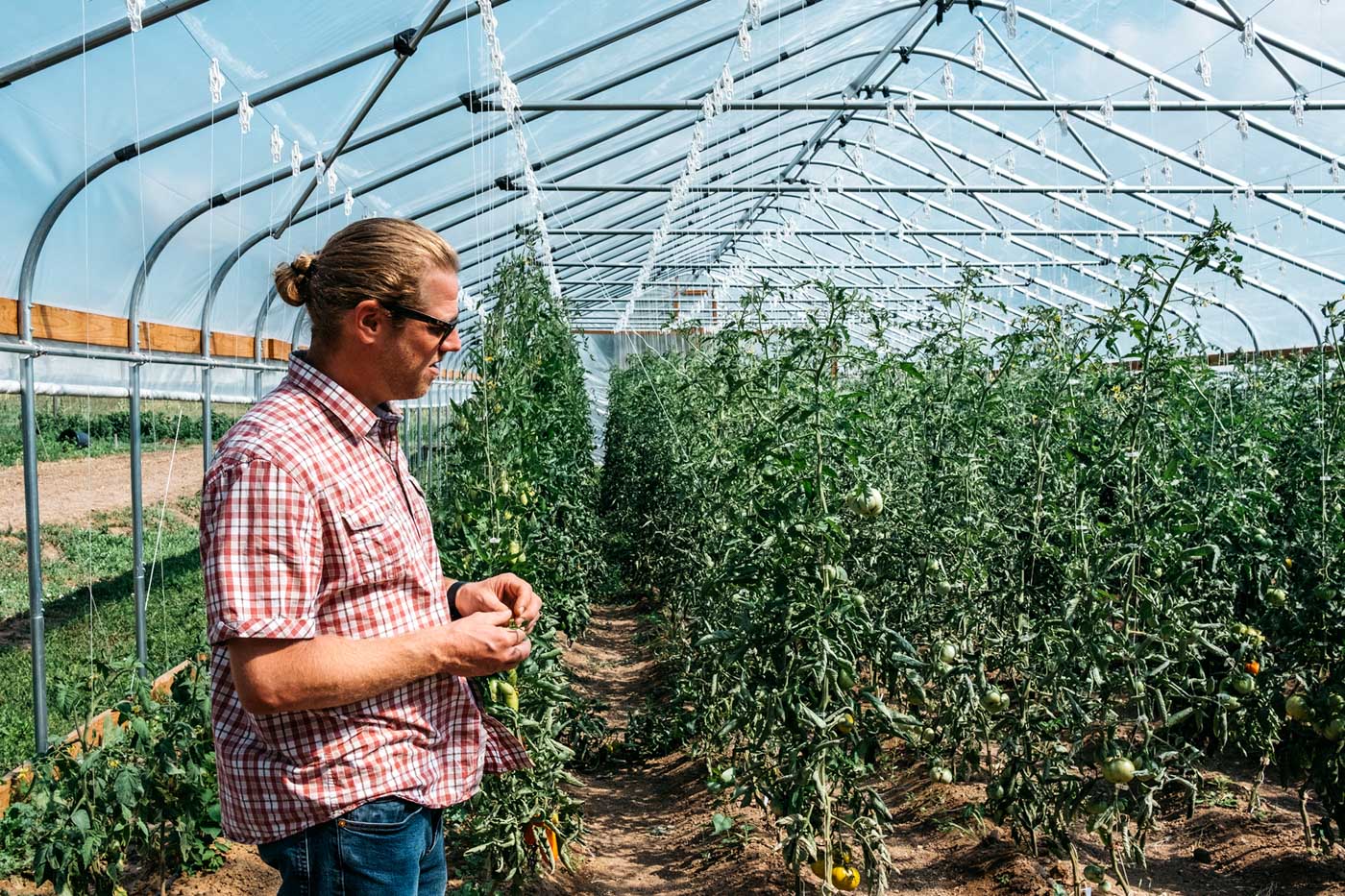 The Evolving Colorado Cuisine of Alex Seidel - Life & Thyme
