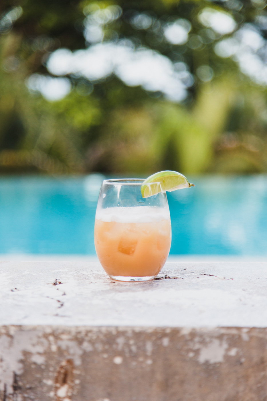 Cocktails in Motion: The Belizean Howler Monkey - Life & Thyme