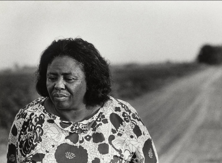 Fannie Lou Hamer and Farming as Activism - lifeandthyme