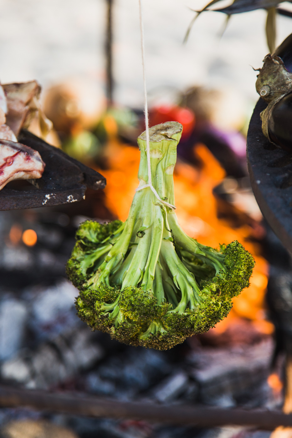A Fire in Zihuatanejo - Life & Thyme