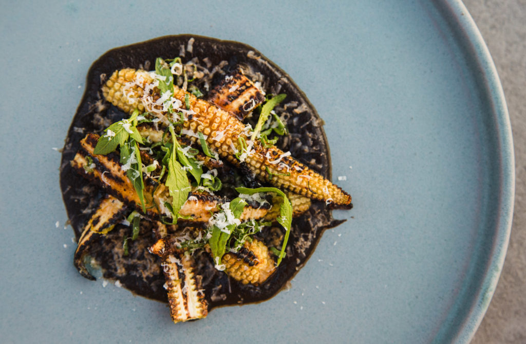 A Fire in Zihuatanejo - Life & Thyme