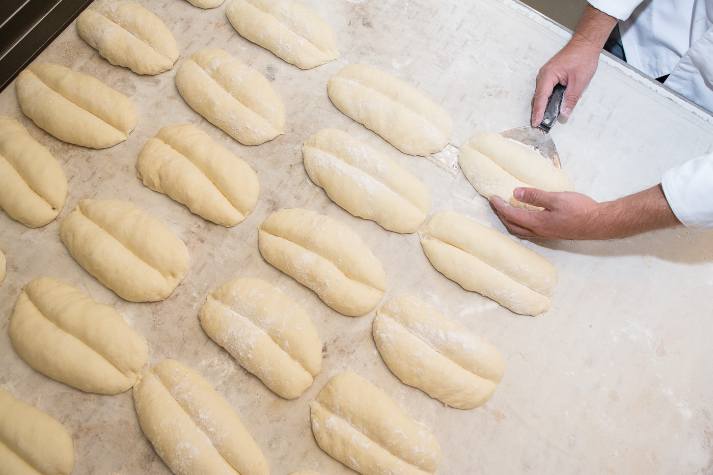South Texas Meets Mexico City Bread Culture - Life & Thyme