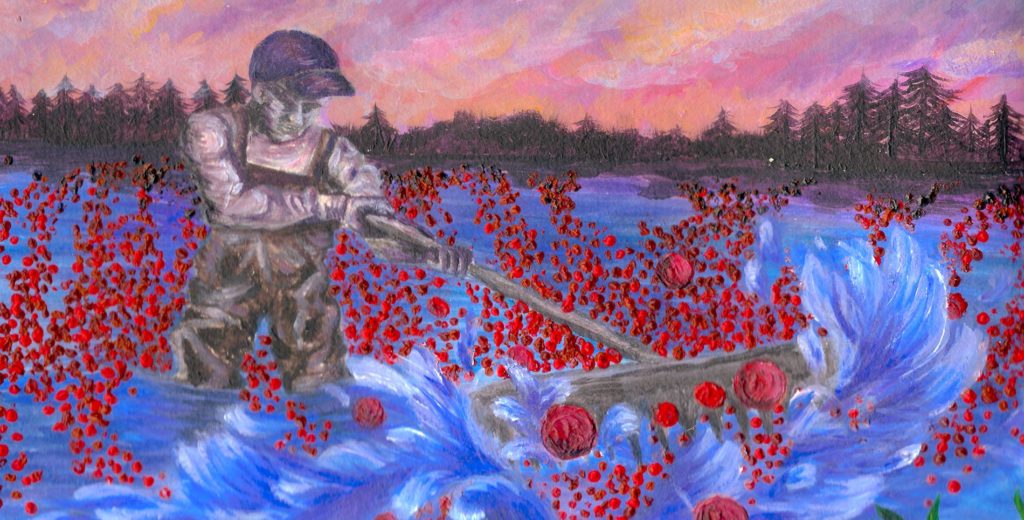 The Complicated Nature of American Cranberry Farming - Life & Thyme