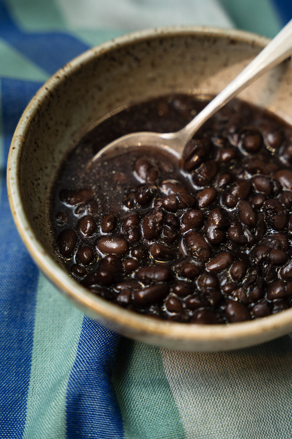 Heirloom Beans: From Our Ancestors, For Our Descendants - lifeandthyme