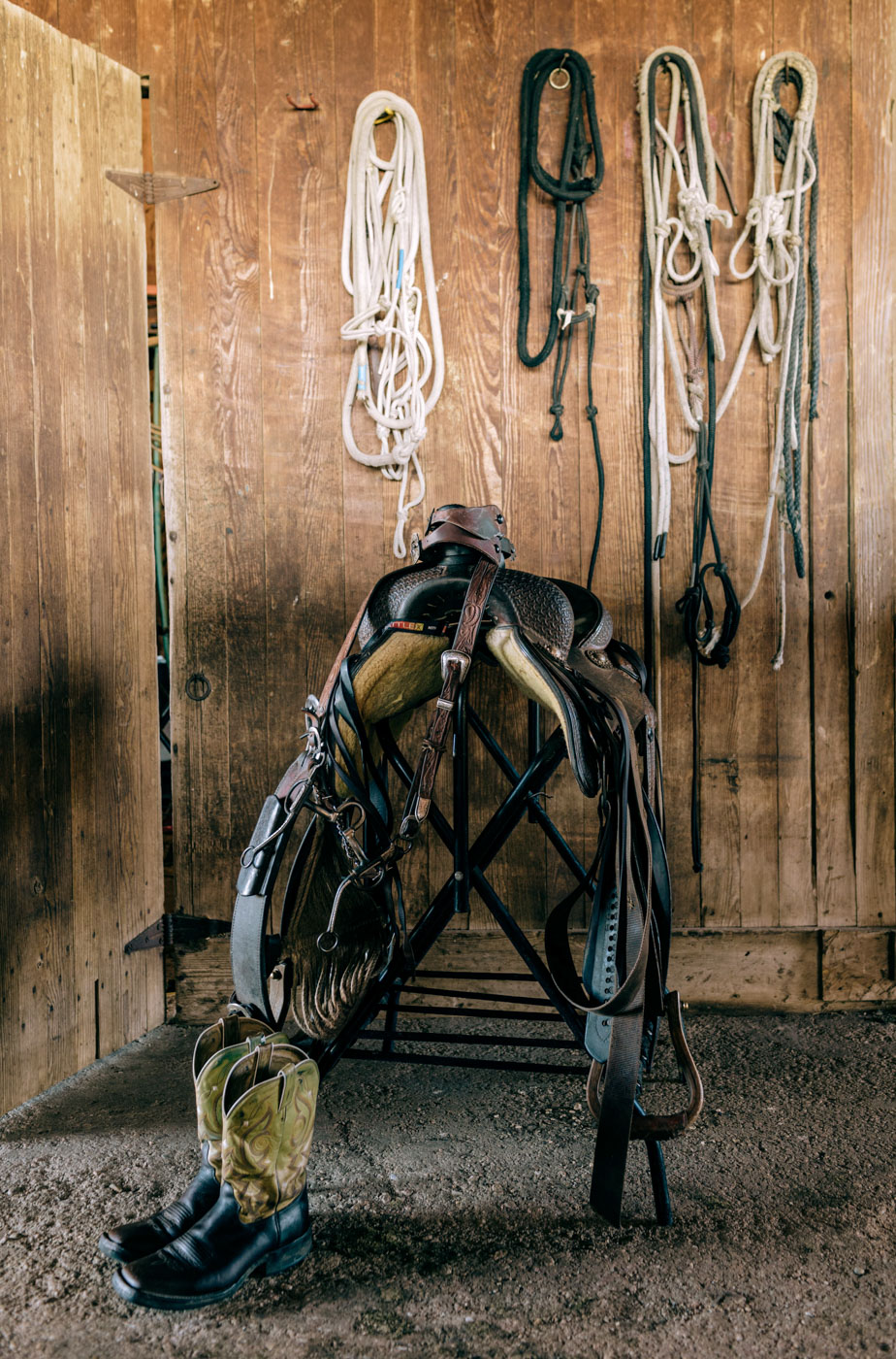 Making the Case for Regenerative Ranching - Life & Thyme