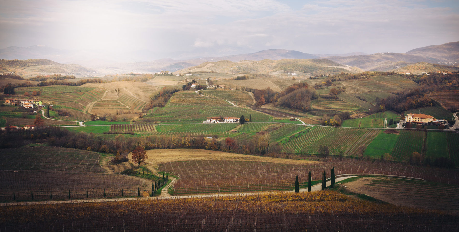 Blended Borders: In Northern Italy, Collio Wine Connects Culture - Life ...