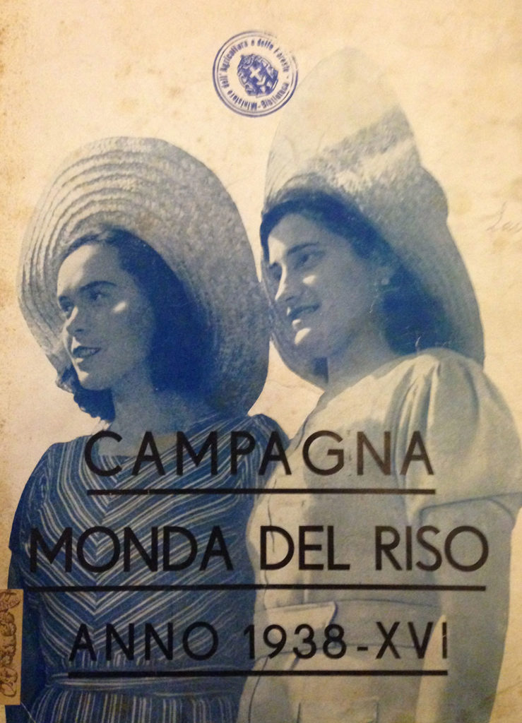 The Women Responsible for Italian Rice—and Workers’ Rights - Life & Thyme